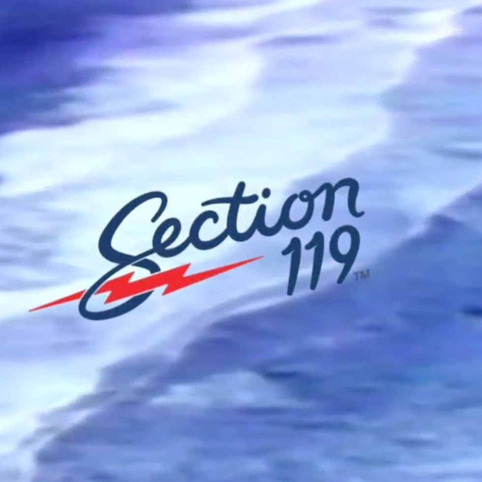 Welcome to Section 119